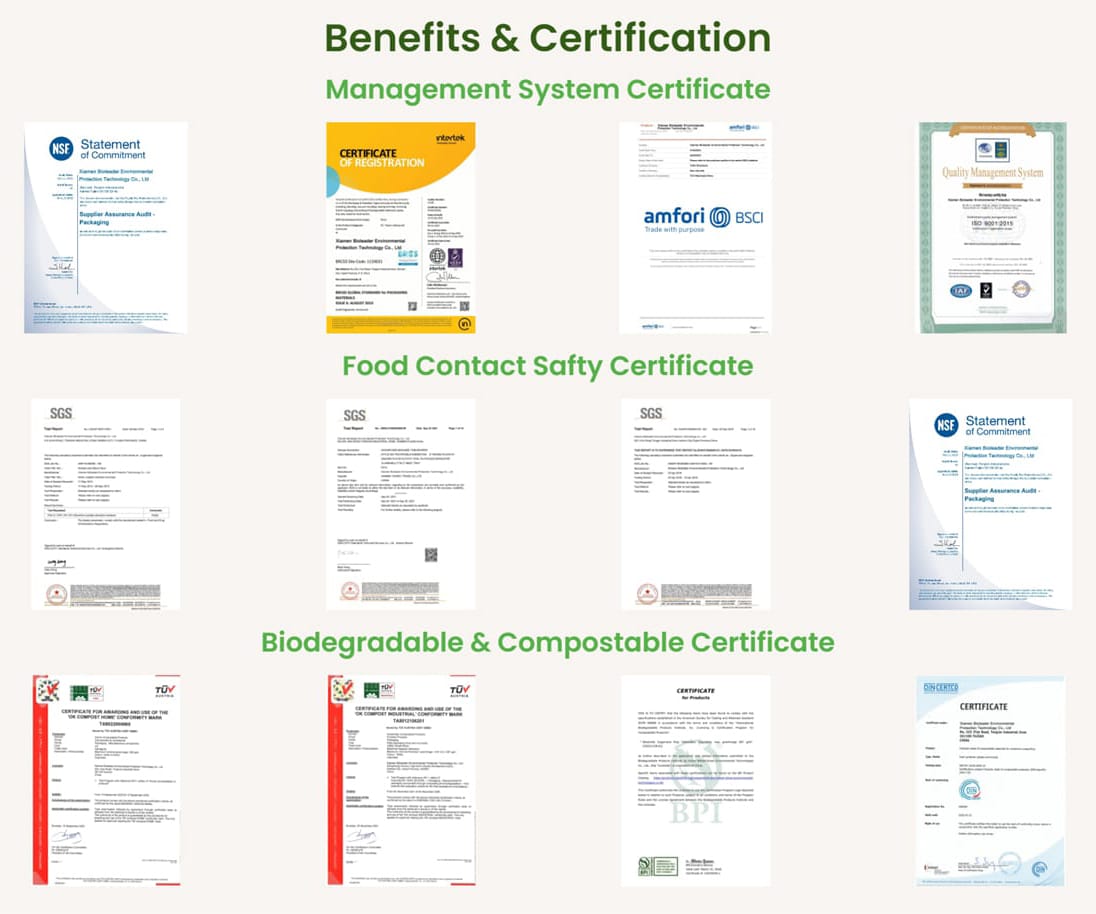 EN 13432 & ASTM D6400: The Standards Behind Compostable Plastics