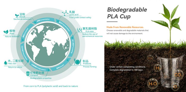 Understanding The Difference Between Biodegradable And Compostable ...