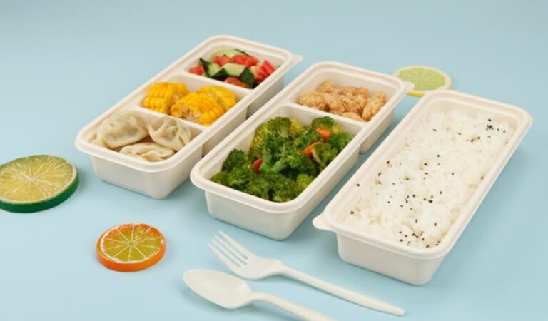 Cornstarch 3-Compartment Salad Box & Light Meal Container Series