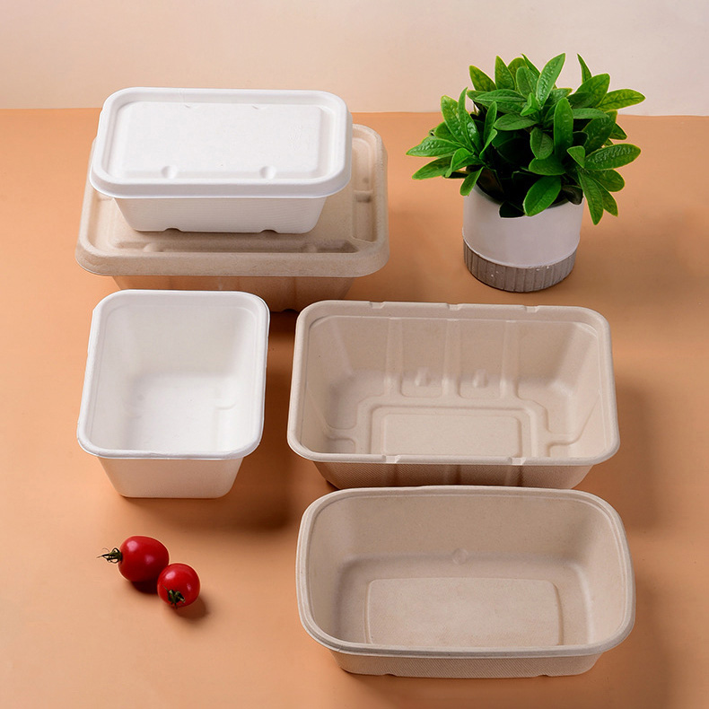 Bagasse Is Not A Universal Replacement For Plastic